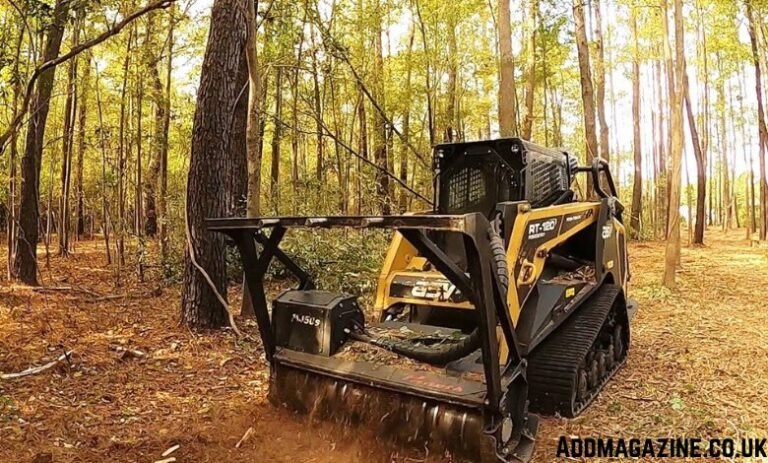 How Forestry Mulching Transforms Overgrown Land Into Thriving ...