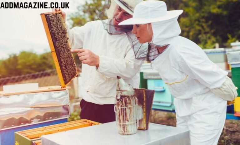 How to Identify a Truly Reliable Beekeeping Suit in Today’s Market ...